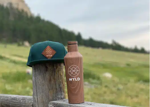 Elevate Your Personal Development Journey - WYLD